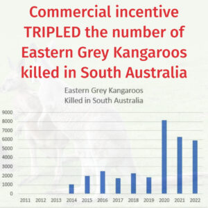 Kangaroo Population Estimates are False and Misleading