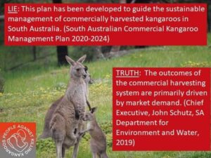 Kangaroo Population Estimates are False and Misleading